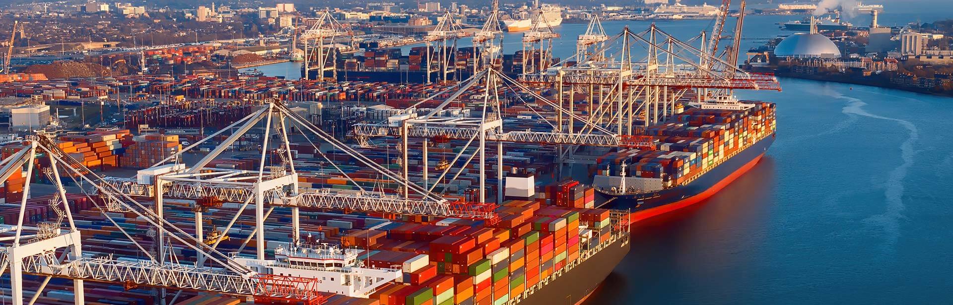 Contact - Transmodal